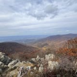 Hawksbill Loop Trail, Virginia - 5,338 Reviews, Map | AllTrails
