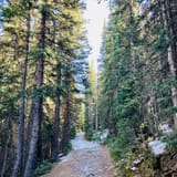 Butler Gulch Trail, Colorado - 3,266 Reviews, Map | AllTrails