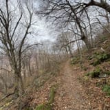 Hawksbill Loop Trail, Virginia - 5,338 Reviews, Map | AllTrails