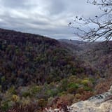 Whitaker Point Trail (Hawksbill Crag), Arkansas - 4,227 Reviews, Map ...