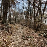 Hawksbill Loop Trail, Virginia - 5,338 Reviews, Map | AllTrails