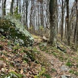 Hawksbill Loop Trail, Virginia - 5,338 Reviews, Map | AllTrails