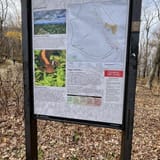 Hawksbill Loop Trail, Virginia - 5,338 Reviews, Map | AllTrails