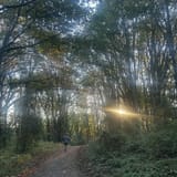 Forest Park Ridge Trail, Oregon - 1,320 Reviews, Map | AllTrails