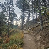 Green Mountain West Ridge Trail, Colorado - 7,107 Reviews, Map | AllTrails