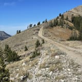 Wasatch Crest Trail, Utah - 362 Reviews, Map | AllTrails