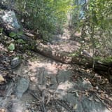 River and Matildaville Trail, Virginia - 1,013 Reviews, Map | AllTrails