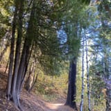 Lester River Trail and Amity East, Minnesota - 996 Reviews, Map | AllTrails