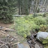 Congress Trail, California - 4,285 Reviews, Map | AllTrails