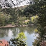 Ferncliff Trail, Pennsylvania - 1,678 Reviews, Map | AllTrails