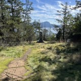 Washington Park Loop Road, Washington - 1,903 Reviews, Map | AllTrails