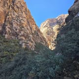 Ice Box Canyon Trail, Nevada - 3,447 Reviews, Map | AllTrails