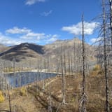 Crandell Lake Trail, Alberta, Canada - 489 Reviews, Map | AllTrails