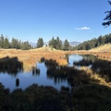 Beaver Ponds Loop Trail, Montana - 1,572 Reviews, Map | AllTrails