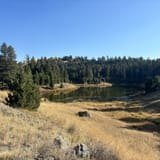 Beaver Ponds Loop Trail, Montana - 1,572 Reviews, Map | AllTrails