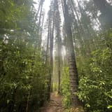 Judd Trail, Oahu, Hawaii - 3,023 Reviews, Map | AllTrails