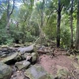 Judd Trail, Oahu, Hawaii - 2,959 Reviews, Map | AllTrails
