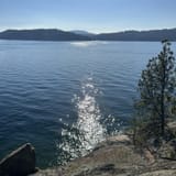 Tubbs Hill, Idaho - 5,053 Reviews, Map | AllTrails