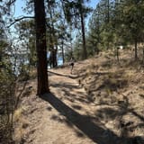 Tubbs Hill, Idaho - 5,053 Reviews, Map | AllTrails