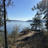 Tubbs Hill, Idaho - 5,053 Reviews, Map | AllTrails