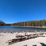 McLeod Lake Trail, California - 1,327 Reviews, Map | AllTrails