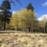 Lockett Meadow Inner Basin Loop, Arizona - 823 Reviews, Map | AllTrails
