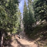 Mount Ida Trail, Colorado - 2,411 Reviews, Map | AllTrails