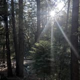 Idyllwild Park Trail, California - 876 Reviews, Map | AllTrails