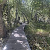 Convict Lake Loop, California - 2,627 Reviews, Map | AllTrails