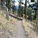 Mineral Ridge National Recreation Trail, Idaho - 4,176 Reviews, Map ...