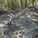 Cheaha Wilderness 30 Mile Loop, Alabama - 75 Reviews, Map | AllTrails