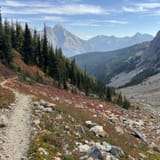 Easy Pass Trail, Washington - 514 Reviews, Map | AllTrails