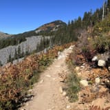 Ira Spring Memorial Trail, Washington - 2,437 Reviews, Map | AllTrails