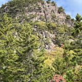 Gorham Mountain Loop, Maine - 6,872 Reviews, Map | AllTrails