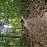 Mount Beerburrum Walking Track, Queensland, Australia - 677 Reviews ...