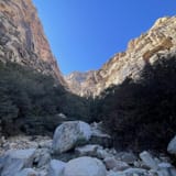 Ice Box Canyon Trail, Nevada - 3,447 Reviews, Map | AllTrails