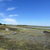 Lymington and Keyhaven Marshes Circular, Hampshire, England - 439 ...