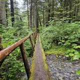 Indian River Trail, Alaska - 278 Reviews, Map | AllTrails