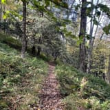 Old Loggers Path, Pennsylvania - 683 Reviews, Map | AllTrails