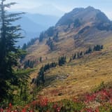Hawkeye Point via Goat Ridge Trail #95, Washington - 403 Reviews, Map ...