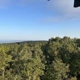 Pinhoti Trail, Alabama - 56 Reviews, Map | AllTrails