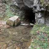 Cave River Valley Trail, Indiana - 207 Reviews, Map | AllTrails