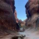 Red Reef Trail, Utah - 2,989 Reviews, Map | AllTrails