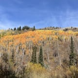 Wasatch Crest Trail, Utah - 362 Reviews, Map | AllTrails