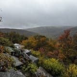 Wolf Rocks Trail, Pennsylvania - 1,569 Reviews, Map | AllTrails