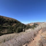 Desolation Lake via Mill D North Fork and Desolation Trail, Utah ...