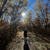 Chickadee Trail, Manitoba, Canada - 1,069 Reviews, Map | AllTrails