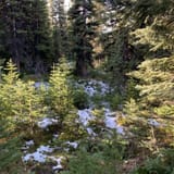 Bow Summit Viewpoint, Alberta, Canada - 1,229 Reviews, Map | AllTrails