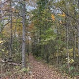 The Billy Yank Trail, Pennsylvania - 752 Reviews, Map | AllTrails