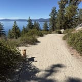 Monkey Rock Trail, Nevada - 7,183 Reviews, Map | AllTrails